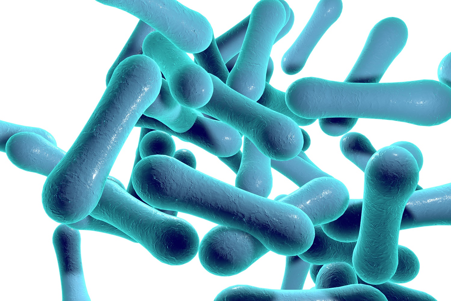 Asymptomatic Carriers of Diphtheria Identified in Canadian School – The ...