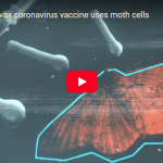 What the News Isn’t Saying About Vaccine-Autism Studies – The Vaccine ...