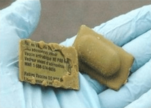Oral Rabies Vaccine Deployed by Air to Vaccinate Wildlife in Vermont ...
